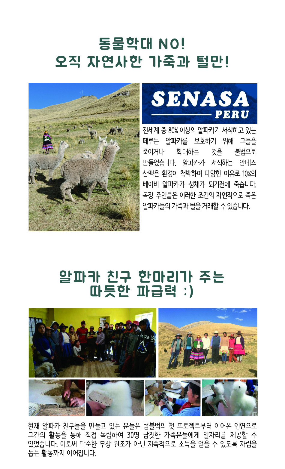 COMBALI ALPACA 사자처럼 더벅머리 컴발리 알파카 라이언 인형 - 핫트랙스